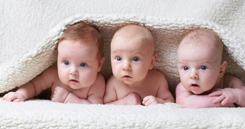 Faire des petits | Brèves d'antan